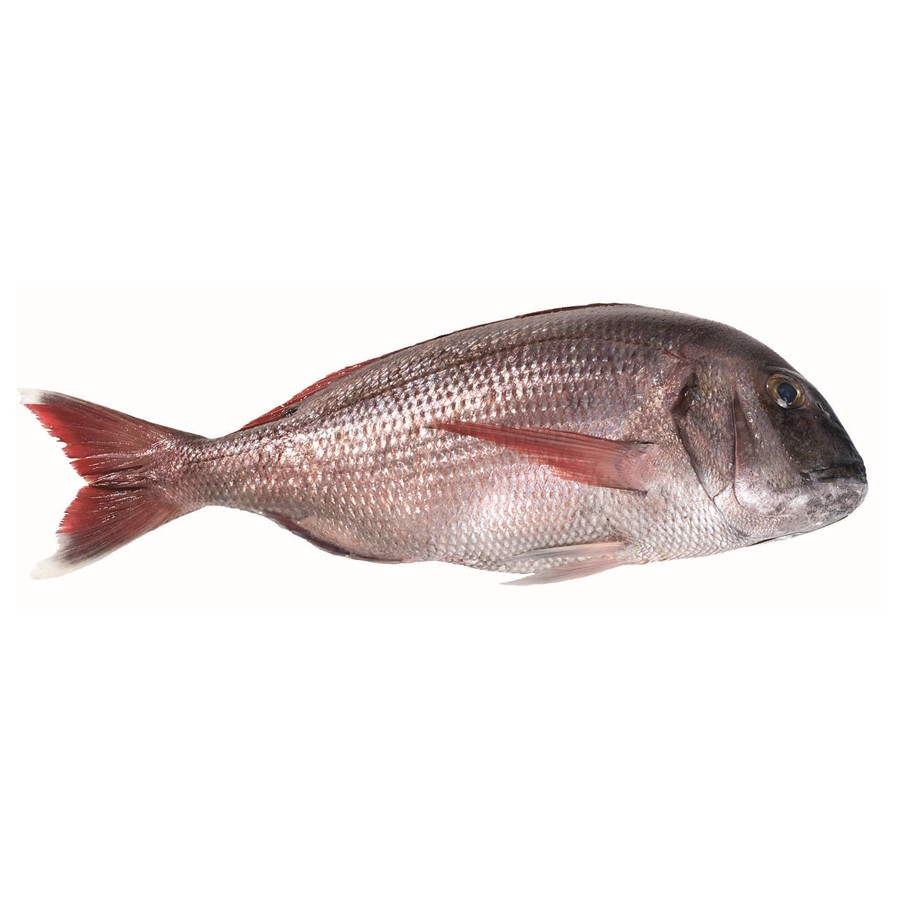 Product: Pargo Legitimo Kg